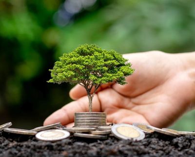 SUSTAINABILITY | JMP Perez Construction